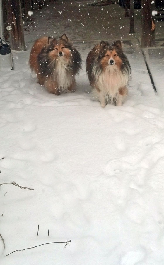 KGB Report by Kevin G. Barkes - Weather